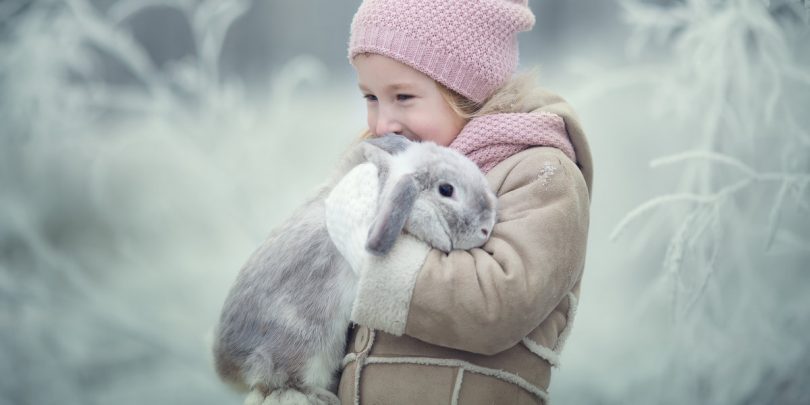 Why is My Rabbit Breathing Fast? | Important Things to Know!