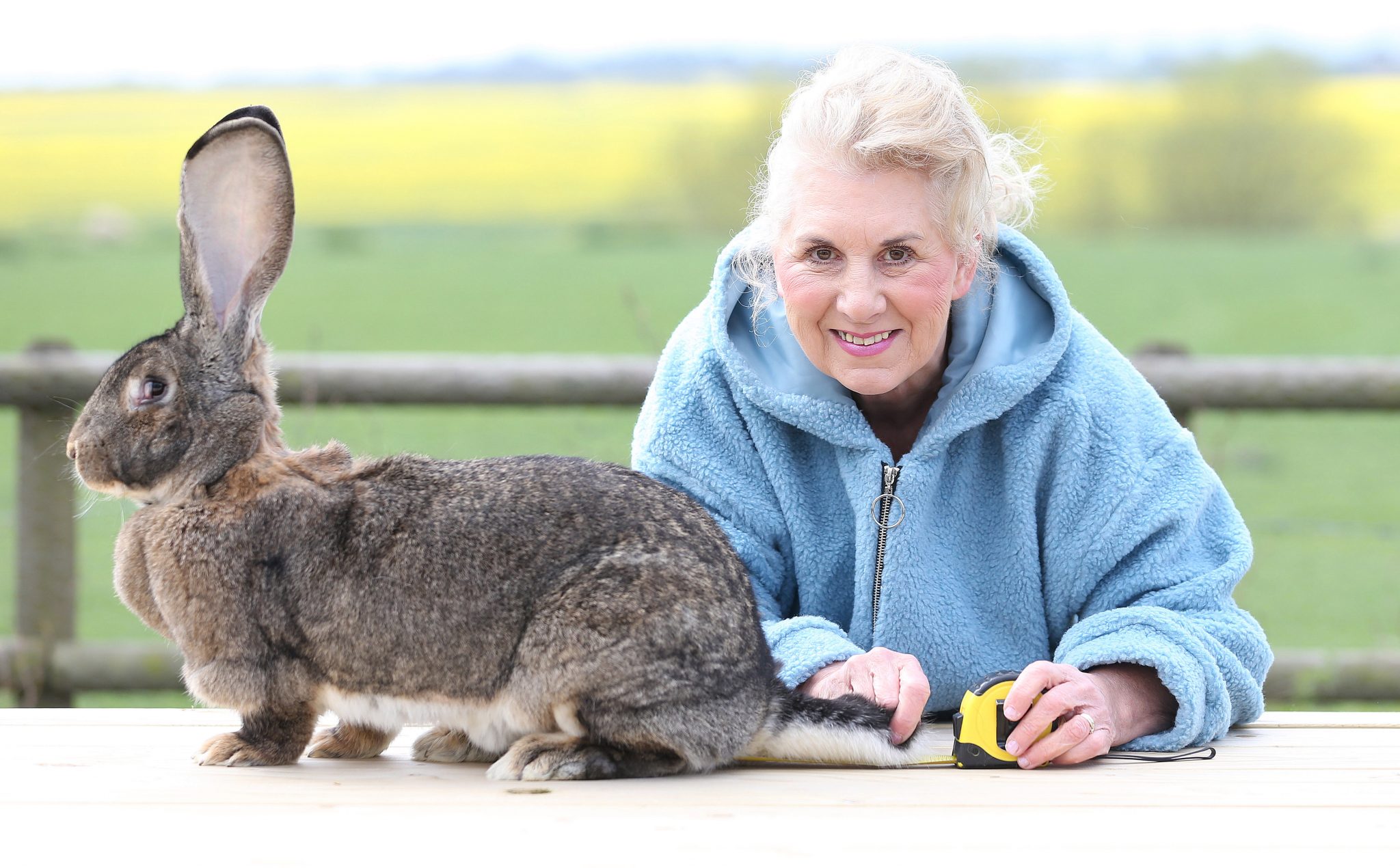 Why Do Rabbits Wiggle Their Tails? A Surprising Fact