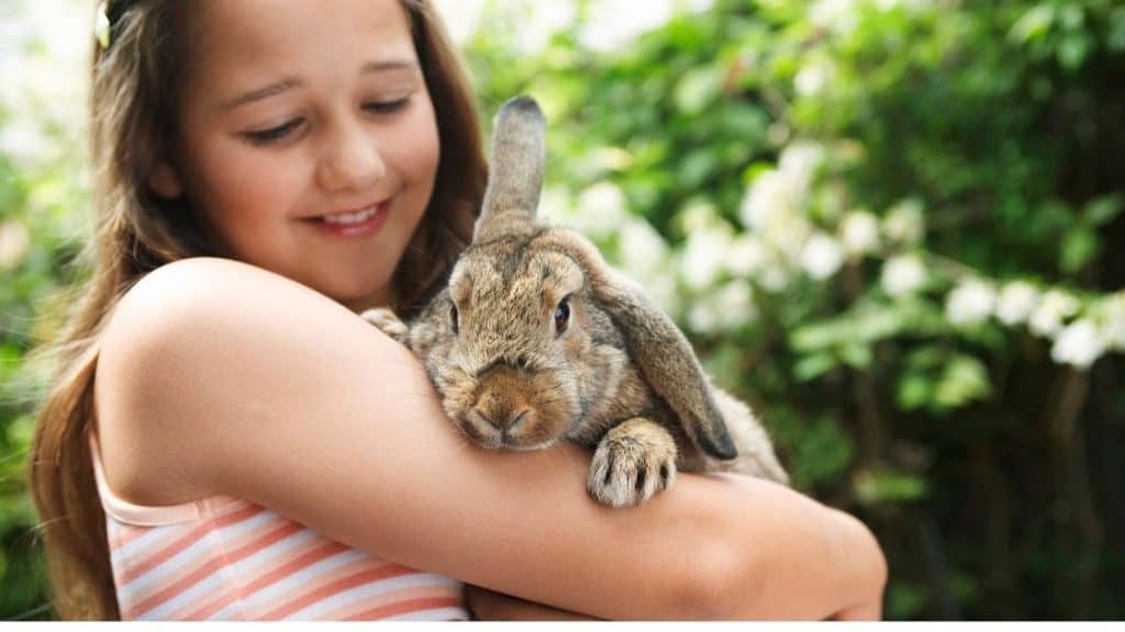 Why is My Rabbit Stomping at Night? 6 Main Reasons!