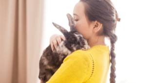 How do Rabbits Show Affection? 12 Signs to Look for! | Whyrabbits.Com