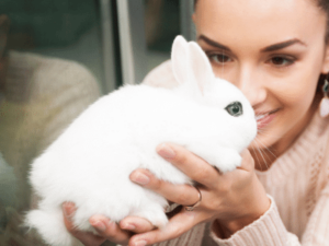 5 Best Indoor Rabbit Breeds - A Complete Guide!