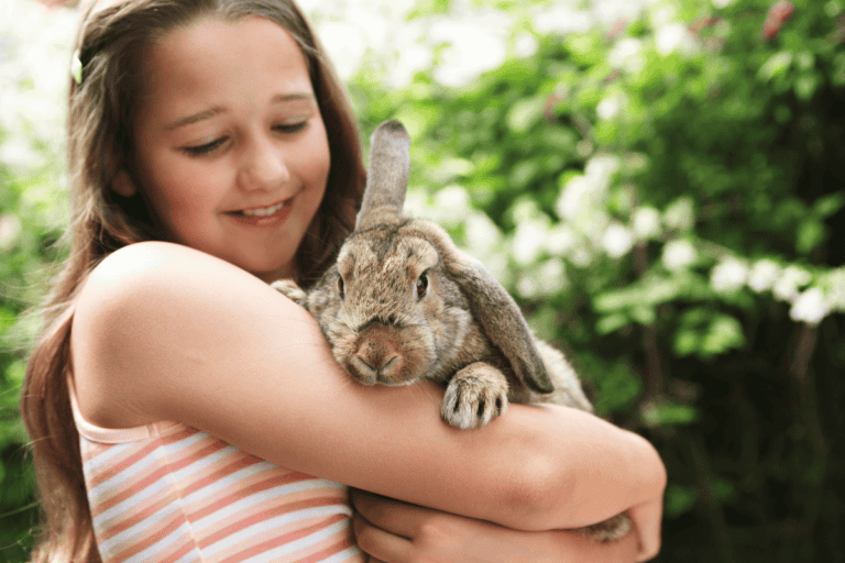 15 Useful Tips to Bond with Your Rabbit
