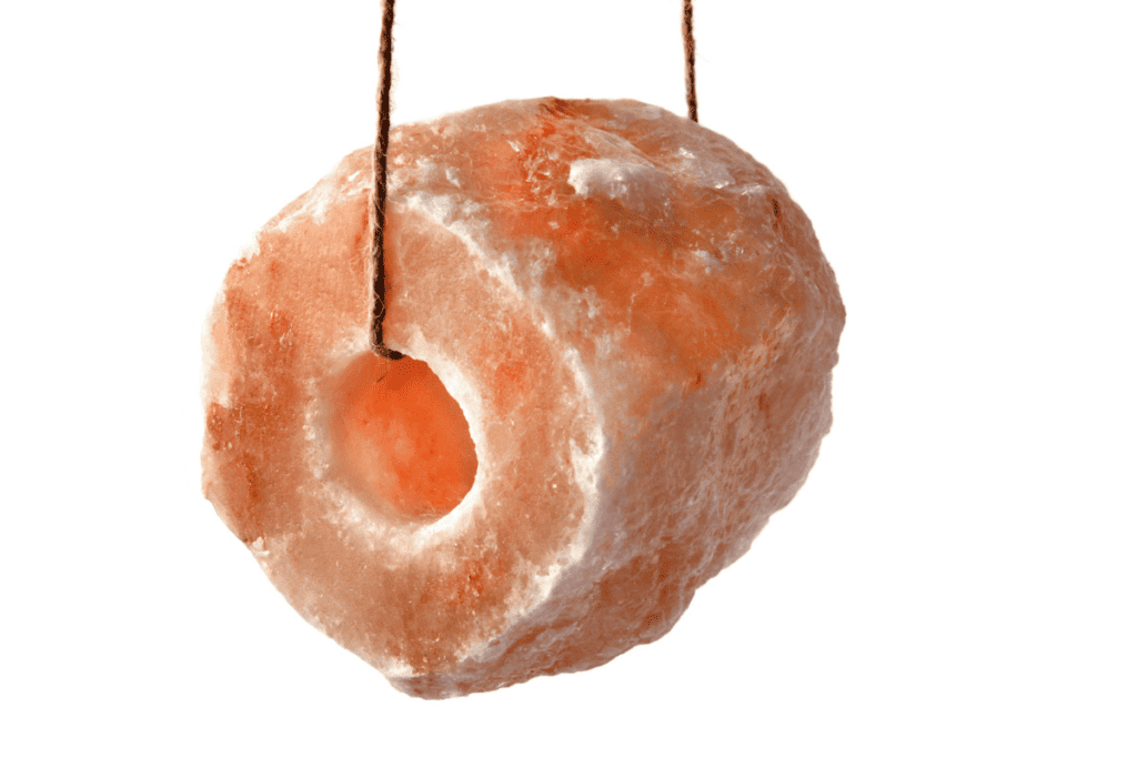 Can Rabbits Have Salt Licks? Know the Facts!